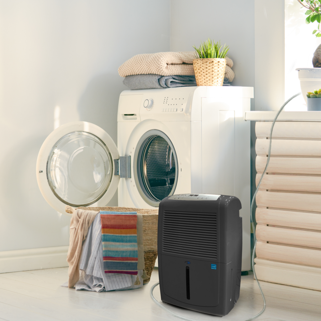 Portable Dehumidifiers | Upgrade Your Lifestyle | Whynter